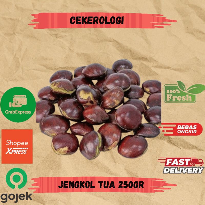 Jual Jengkol Tua 250gr / Jengkol Tua / Jengkol Tua Fresh Berkualitas ...