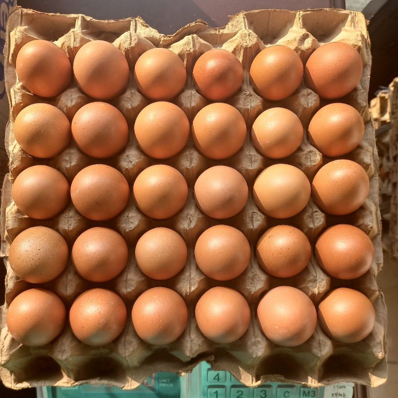 Jual Telur Ayam Negeri Super 1 Tray (30 butir) | Shopee Indonesia