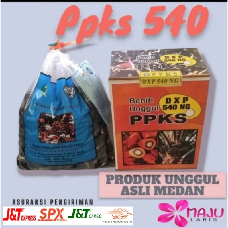 Jual BENIH SAWIT DXP PPKS 540 UNGGUL ( ISI 250 BUTIR ) BERSERTIFIKAT ...