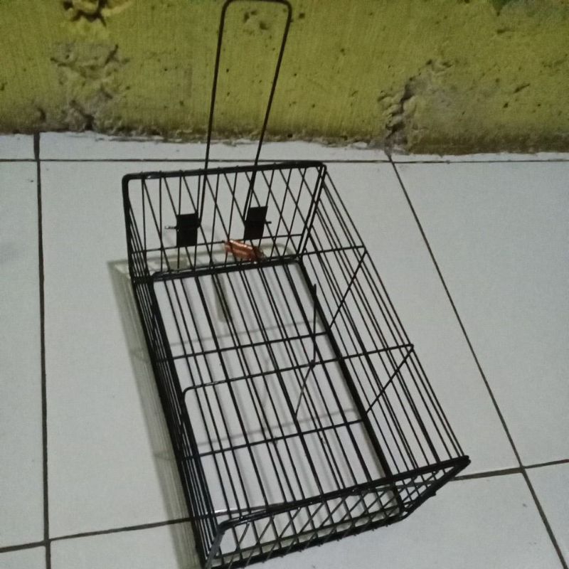 Jual Perangkap tikus besi / Jebakan tikus massal / perangkap musang ...