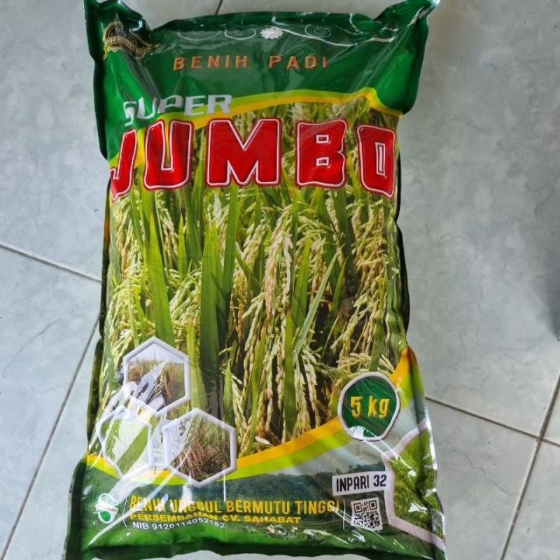 Jual Benih Padi Inpari 32 Jumbo 5kg | Shopee Indonesia