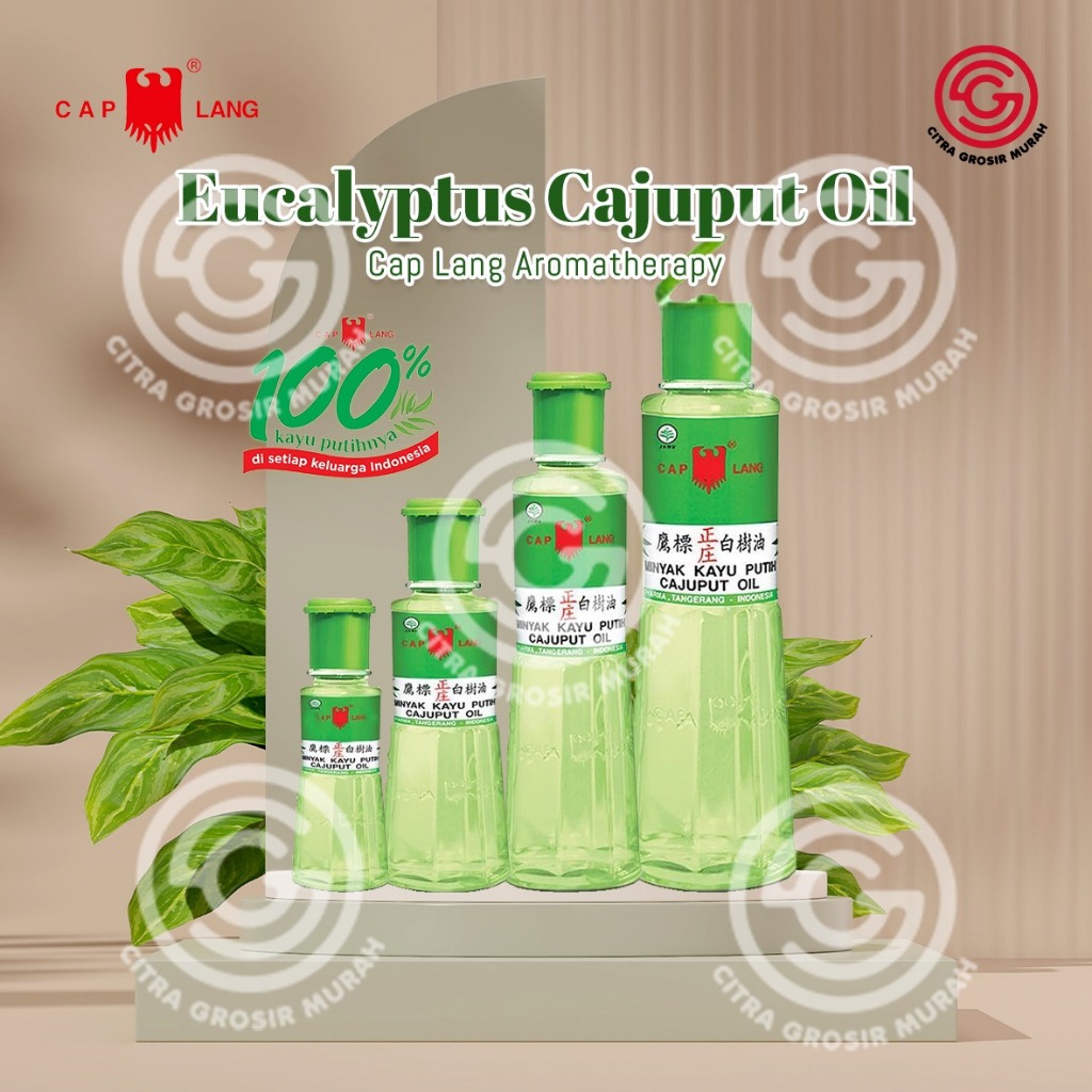 Jual Minyak Kayu Putih Cap Lang Series 30ml || 60ml || 120 ml || 210ml || Caplang Minyak Kayu ...