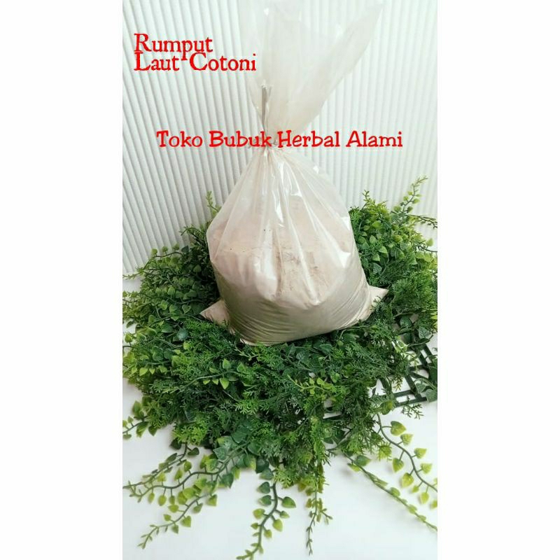 Jual TEPUNG RUMPUT LAUT EUCHEUMA COTTONI POWDER 100gram | Shopee Indonesia