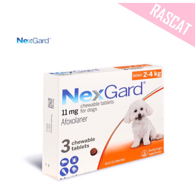 Jual NexGard Tablet Kunyah untuk Anjing 11mg - 1 Tablet | Shopee Indonesia
