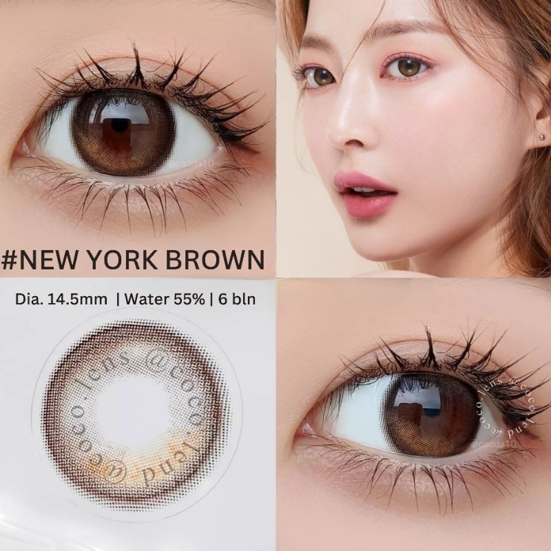Jual ORIGINAL SOFTLENS NEW YORK KITTY KAWAII BROWN GRAY GREY COKLAT ABU ...