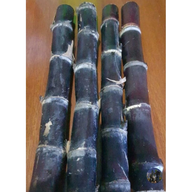 Jual Tebu hitam segar tebu ireng batang | Shopee Indonesia