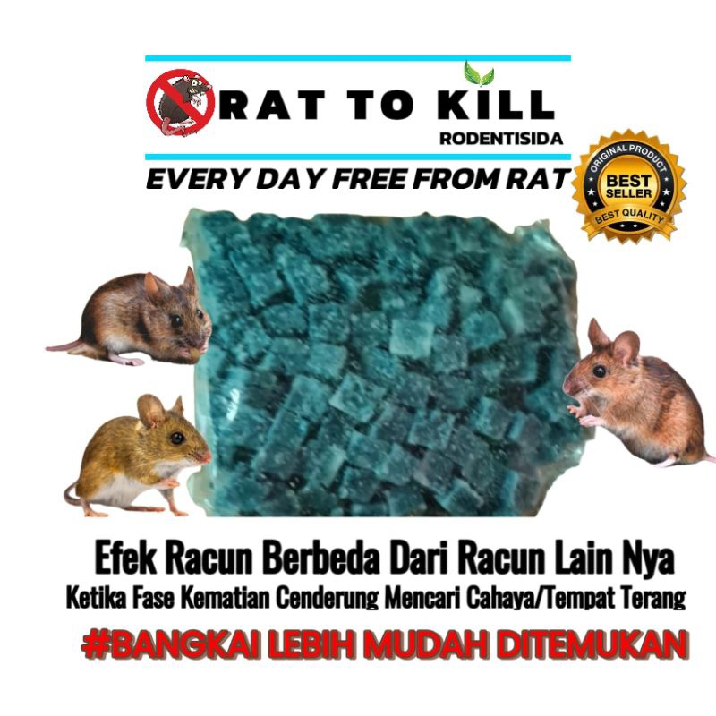 Jual Racun Tikus Mati Kering Super Ampuh Pembasmi Tikus Mati Kering ...