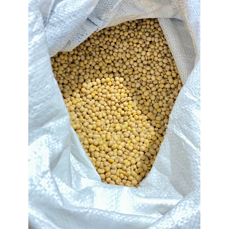 Jual Kedelai Import Merek Kuda Nil | Shopee Indonesia