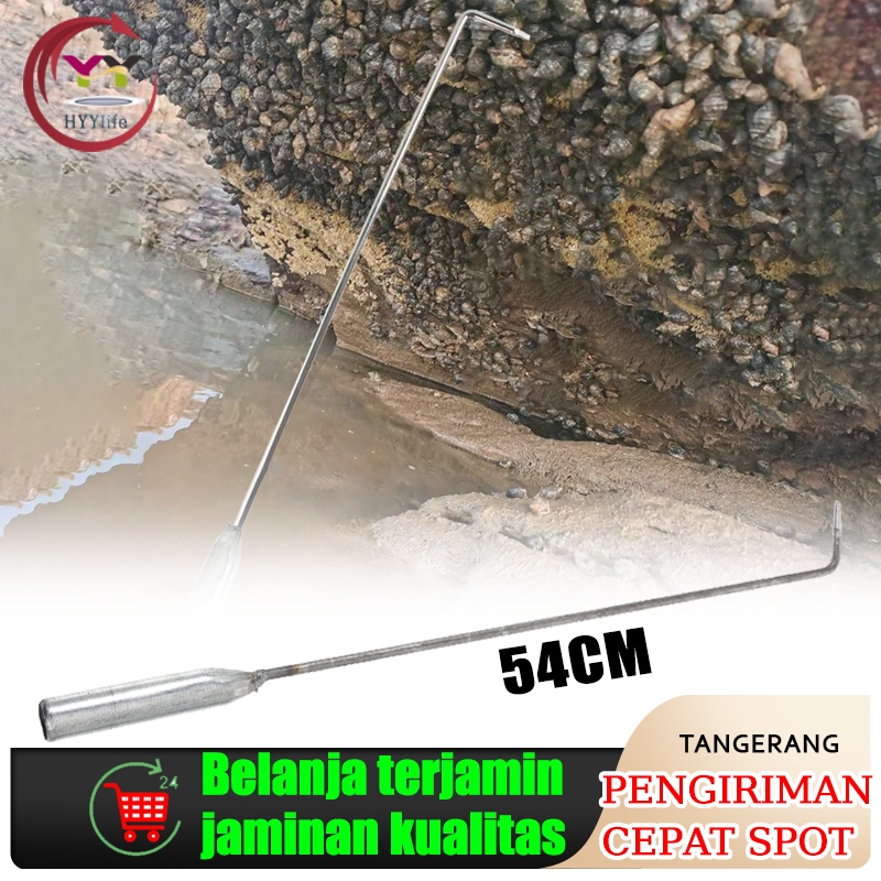 Jual Cangkul Kepiting：Alat Untuk Menjungkang Batu-Batu Di Pantai ...