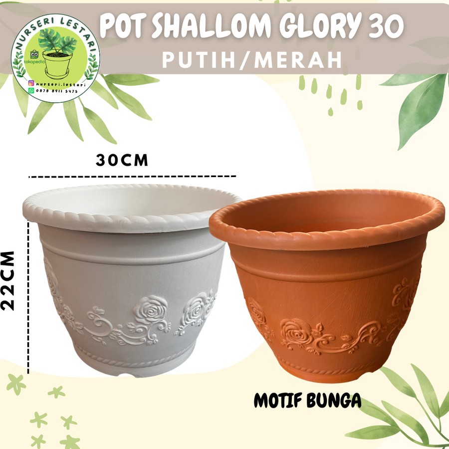 Jual Pot Bunga Shallom Glory 30 MERAH/PUTIH | Shopee Indonesia