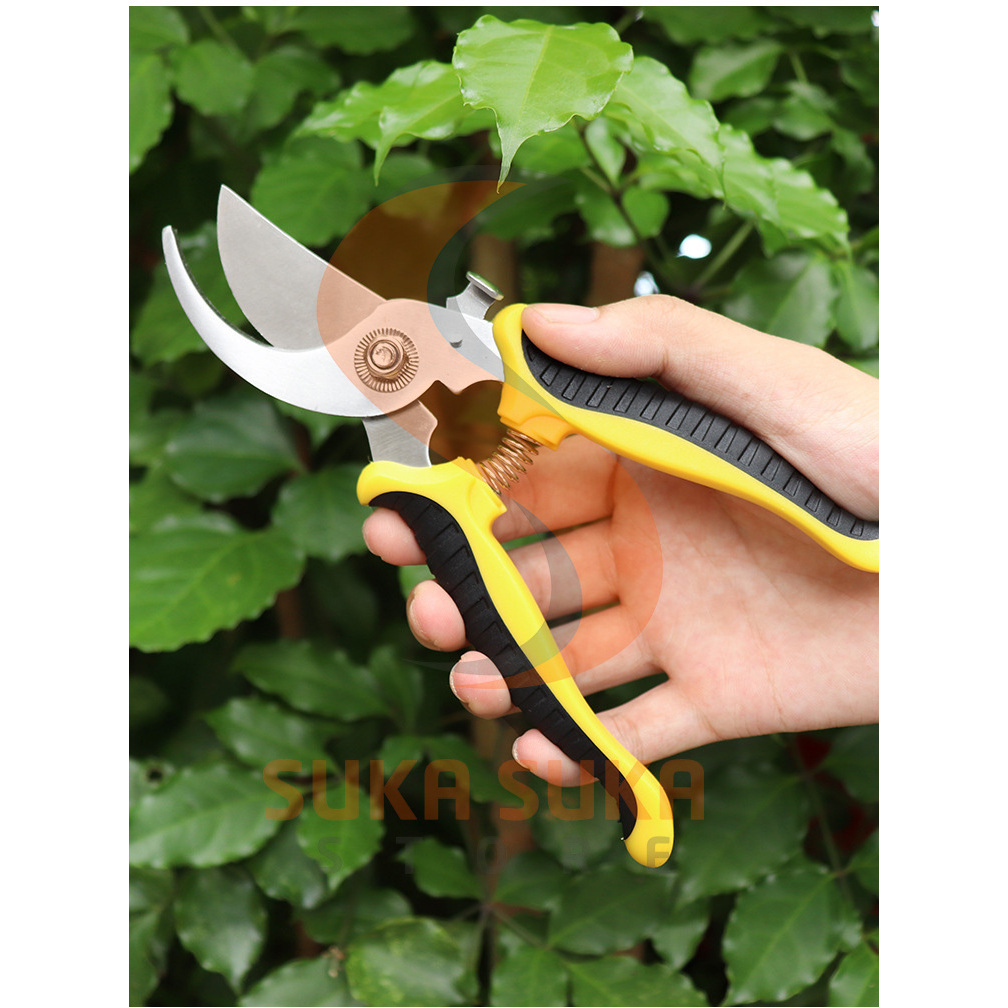 Jual Gunting Stainless dan ringan untuk memotong dahan stek ranting ...
