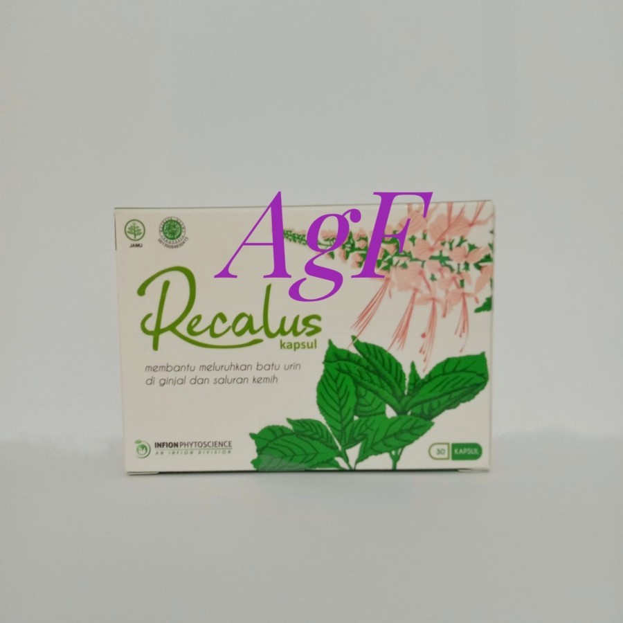 Jual Recalus Caps isi 30 (Infion) | Shopee Indonesia