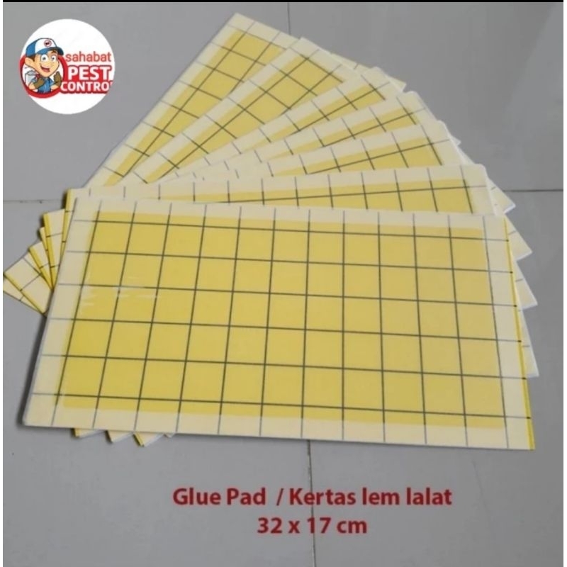 Jual Lem Lalat Glue Pad Ukuran 32 X 17 Fly Catcher Lem Lalat Isi 10 Pcs Shopee Indonesia