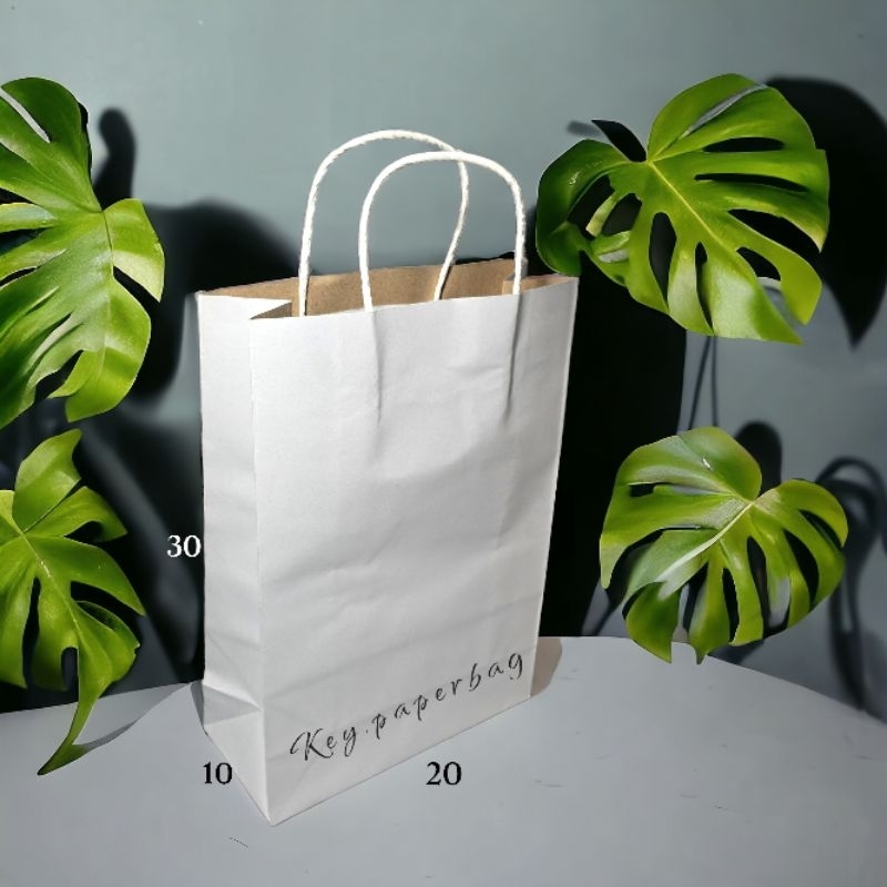 Jual Paper Bag Putih Uk 20x30 Tali Kertas Premium | Shopee Indonesia