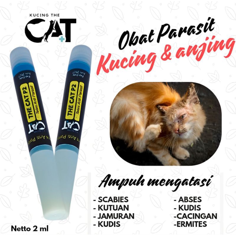 Jual Obat Parasit Kucing The Cat - Obat Parasit Tetes P2 - Obat Scabies ...
