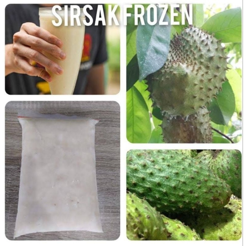 Jual SIRSAK Frozen Sirsat frozen 1kg, Alpukat Frozen 500gram | Shopee ...