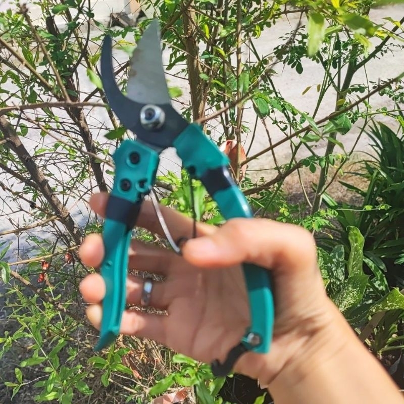 Jual gunting ranting pohon gunting ranting bunga Pruning Shears ...