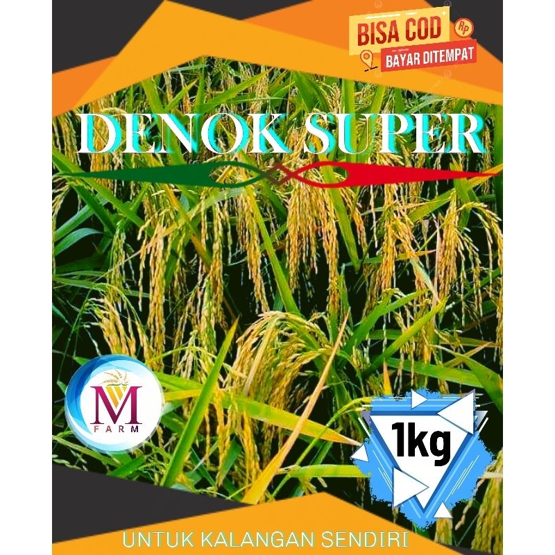 Jual benih padi denok super kemasan 1kg | Shopee Indonesia