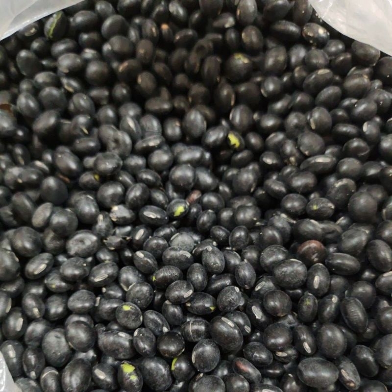 Jual KEDELAI HITAM, KACANG HITAM 1/2KG | Shopee Indonesia