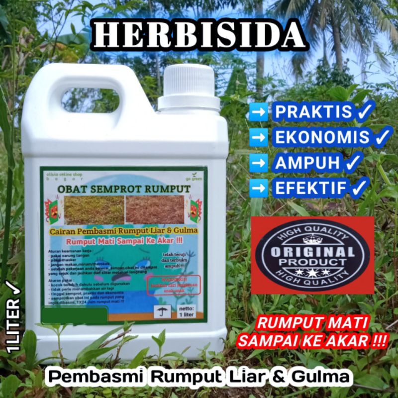 Jual Cairan Pembasmi Rumput Liar & Gulma/1liter Herbisida/Rumput Mati ...