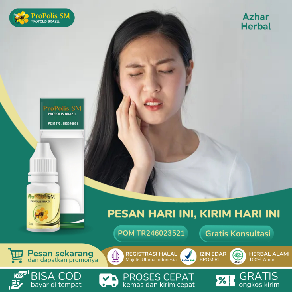 Jual Propolis SM Obat Sakit Gigi Nyeri Linu Gusi Bengkak Berdarah ...