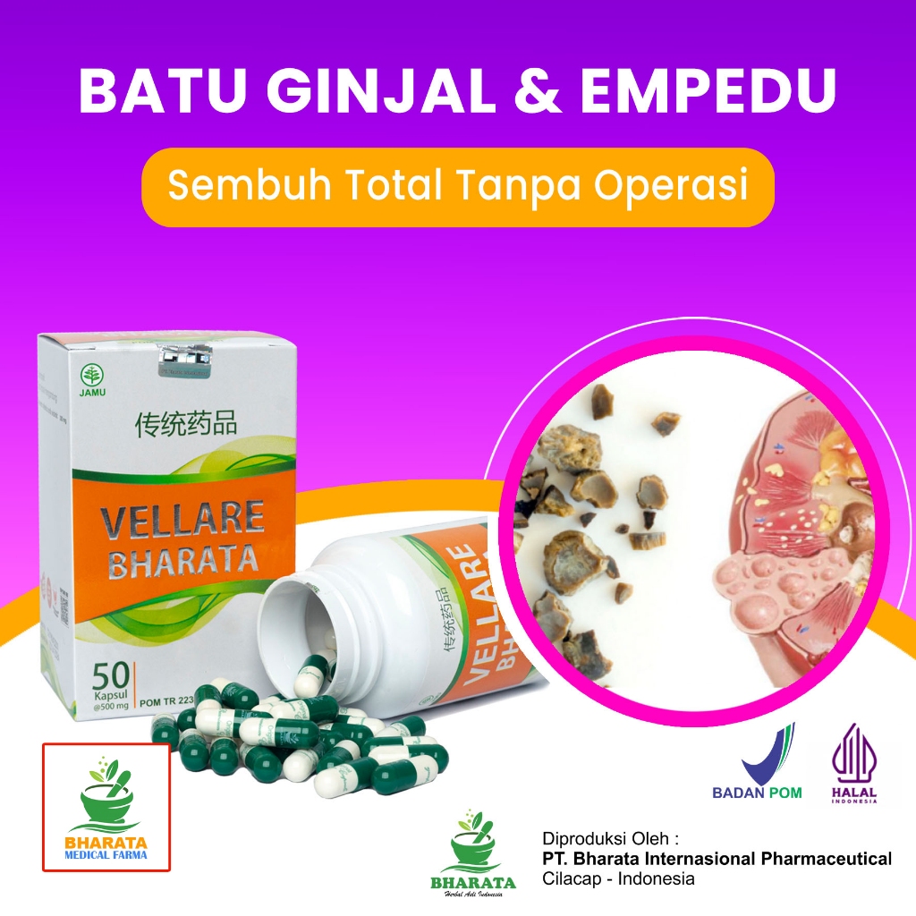 Jual Obat Herbal Batu Ginjal & Batu Empedu - Peluruh Batu Ginjal - Vellare Bharata | Shopee ...