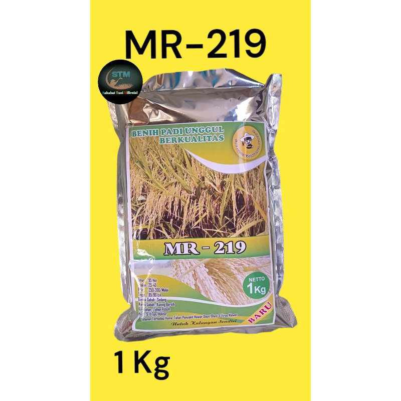Jual Benih padi MR219 Original 1Kg | Shopee Indonesia