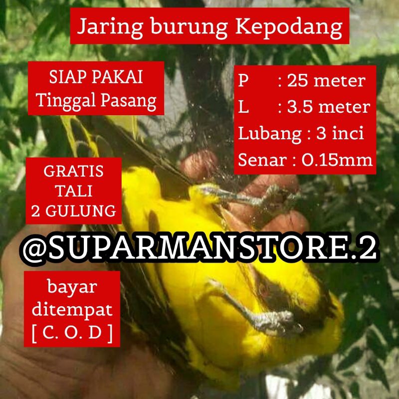 Jual JARING BURUNG KEPODANG 25 METER JARING BURUNG PODANG 25 METER ...