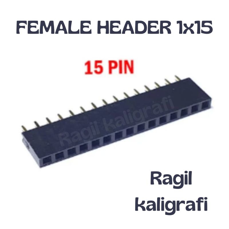 Jual Female header 1x15 pin - header female 1x15 pin | Shopee Indonesia