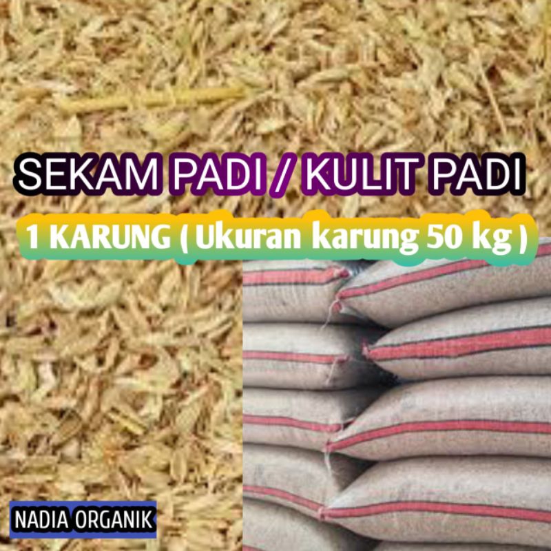 Jual Sekam padi / Kulit padi 1 karung ( Ukuran karung 50 kg ) | Shopee Indonesia