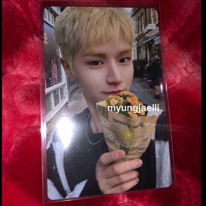 Jual Lee Riwoo Bunga Boynextdoor Official Photocard Sticker ver How ...