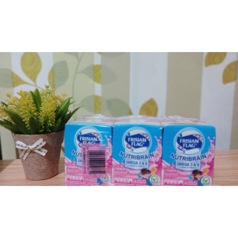 Jual Frisian Flag Susu UHT Nutribrain @115ml 1 dus isi 36 pcs free gift | Shopee Indonesia