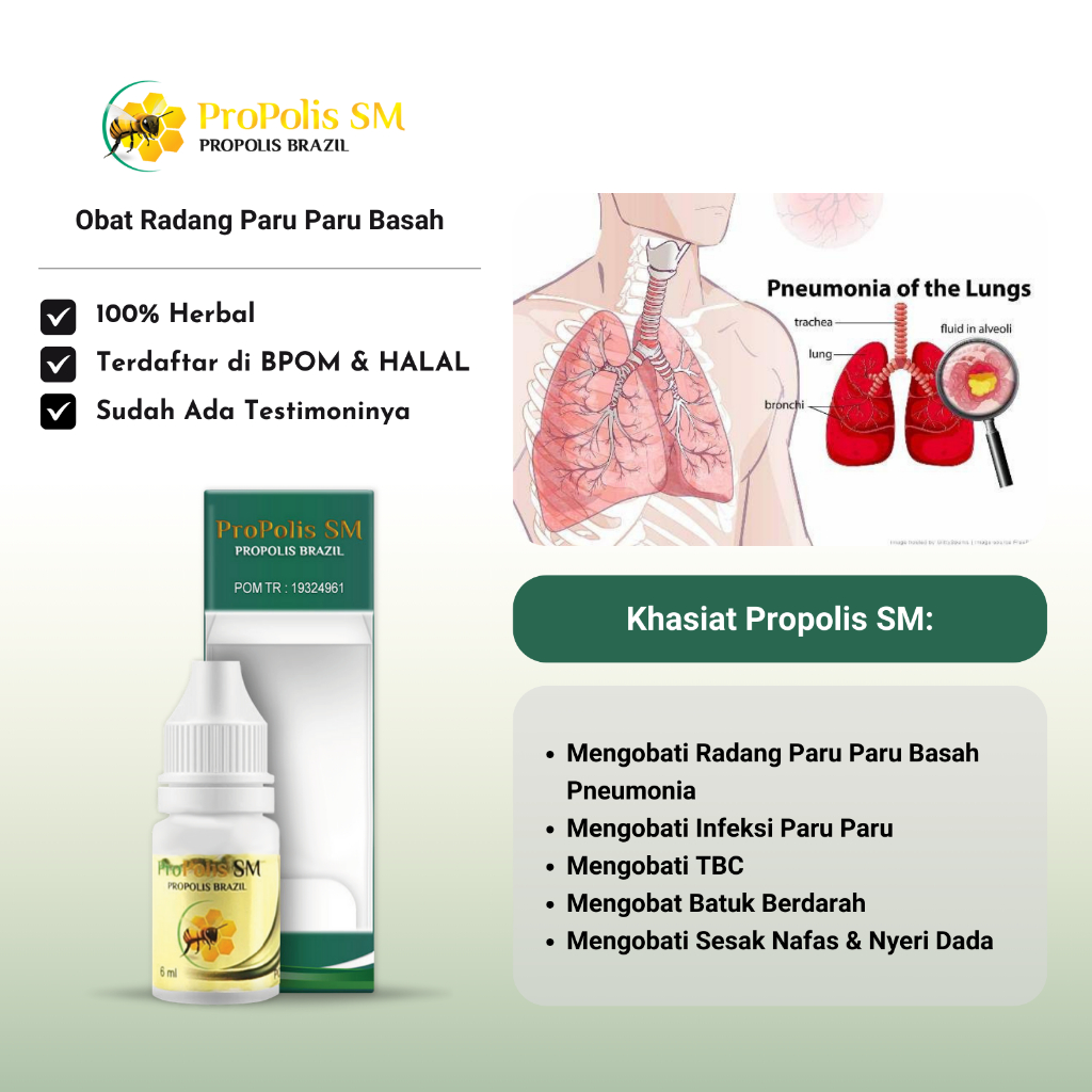 Jual Propolis SM - Obat Radang Paru Paru Basah Pneumonia TBC Batuk ...
