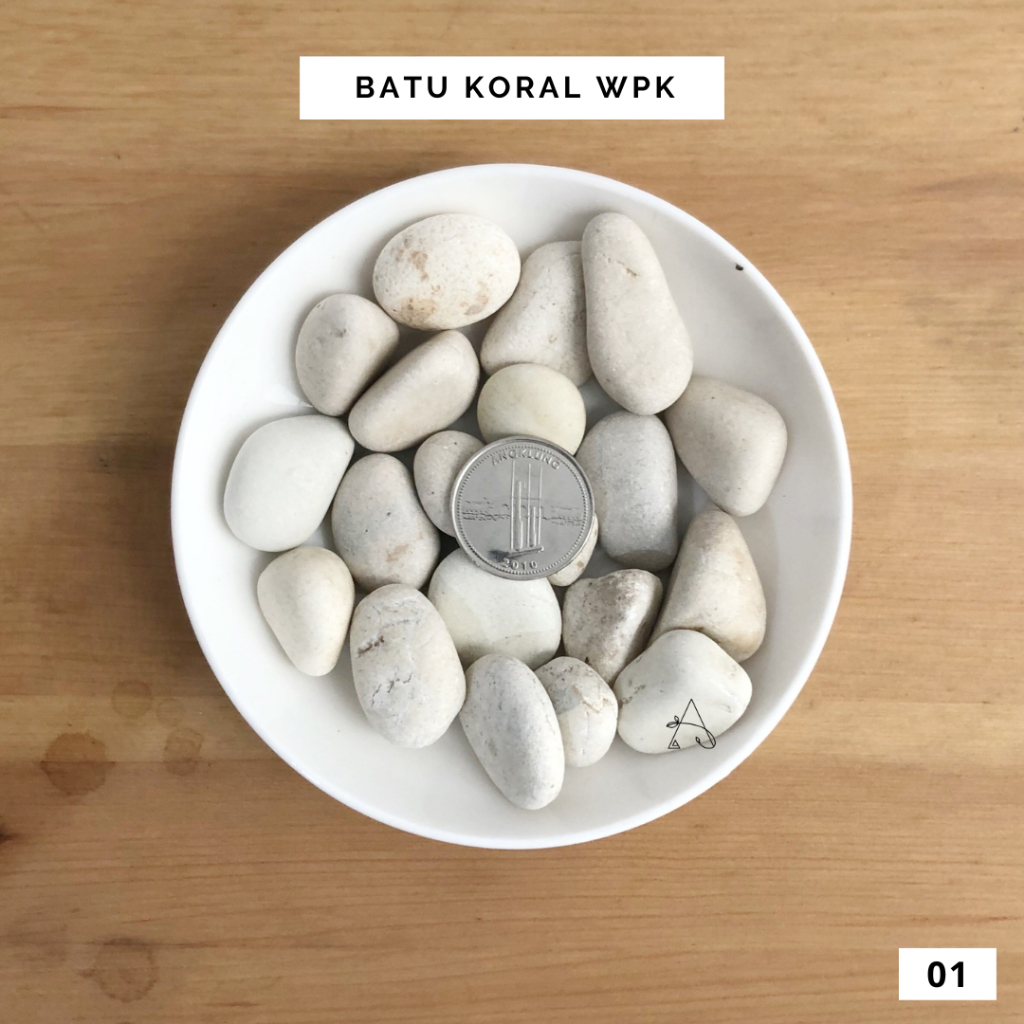Jual Batu Koral WPK 01 Putih Tulang 1 kg | Batu Hias Tanaman | Batu Alam Taman | Dekorasi Taman ...