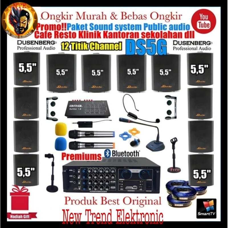 Jual Paket Sound system 12 Channel Titik Pa public 5,5 inch Dusenberg ...