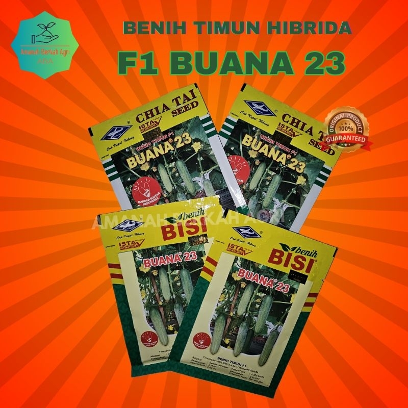 Jual Benih Timun Hibrida F1 BUANA 23 kemasan 20 gram, 100% Original ...