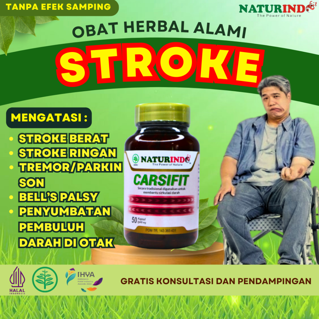 Jual Obat Stroke Paling Ampuh Ringan Berat Herbal Obat Lumpuh Susah ...