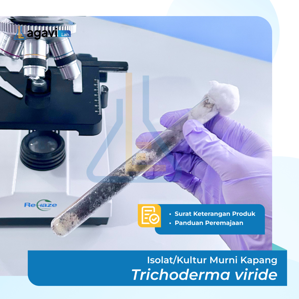 Jual Isolat/Kultur Murni Kapang Trichoderma viride | Shopee Indonesia