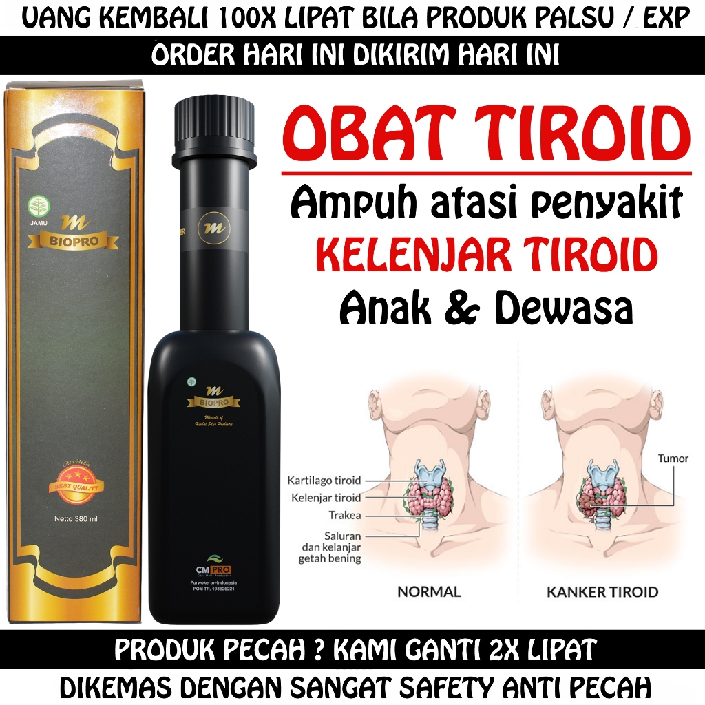 Jual Obat Tiroid Anak & Dewasa, Kelenjar Getah Bening, Benjolan Di ...