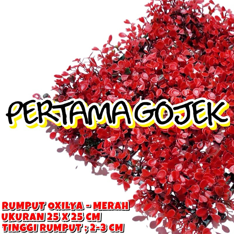 Jual RUMPUT OXILYA WARNA UKURAN 25X25 Cm/ Rumput Plastik/ Hiasan ...