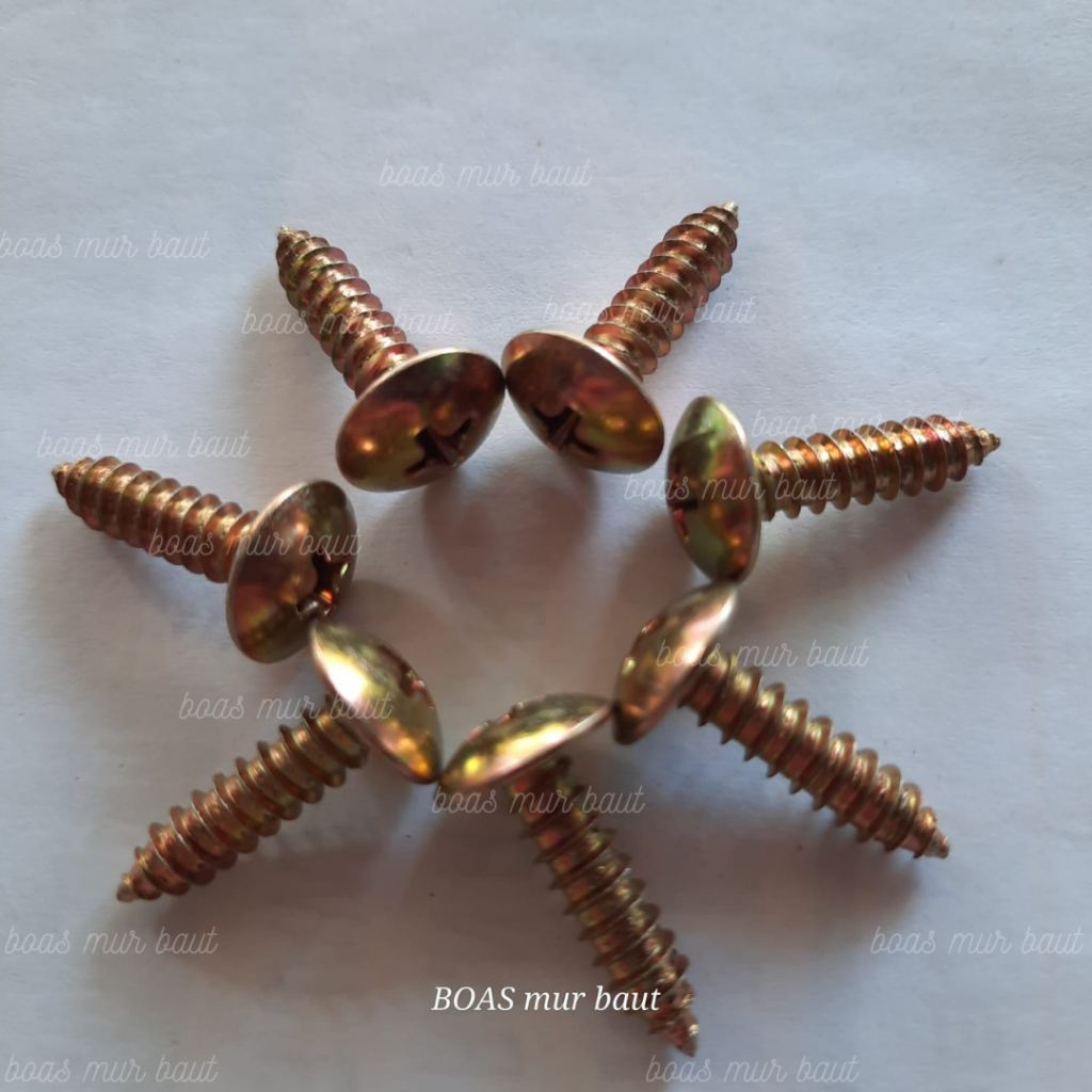 Jual Tapping kuning 2cm TAB 10x3/4 100pcs boas mur baut | Shopee Indonesia