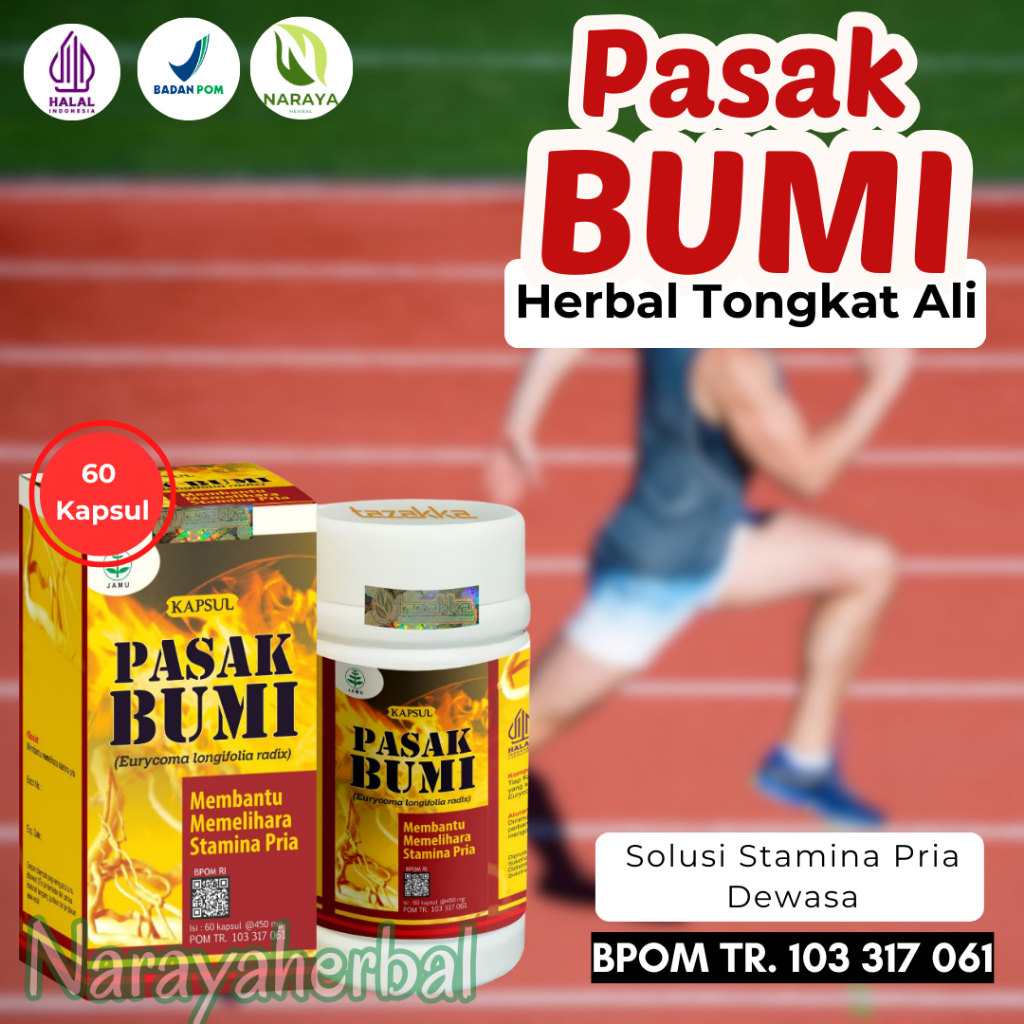 Jual Pasak Bumi Kalimantan Original Tongkat Ali Murni 60 Kapsul | Shopee Indonesia