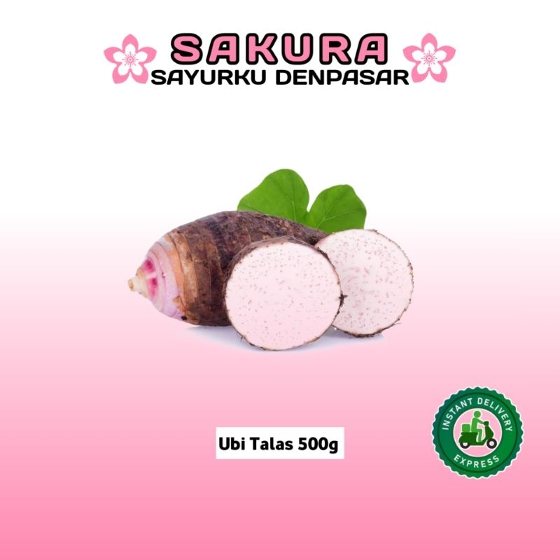 Jual Ubi Talas (Mbote) - SAKURA | Shopee Indonesia