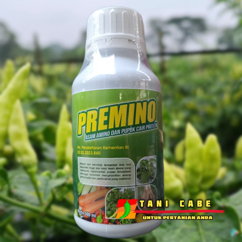 Jual PREMINO ASAM AMINO DAN PUPUK CAIR 500 ML | Shopee Indonesia