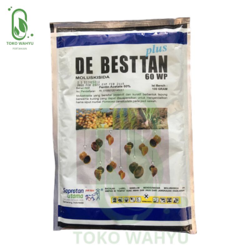 Jual DE BESTAN plus 60WP 100 GRAM | Shopee Indonesia