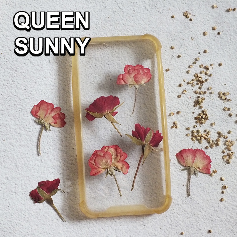 Jual Bunga Kering Asli Bunga Mawar Tekanan Samping Pressed Flower Dried ...