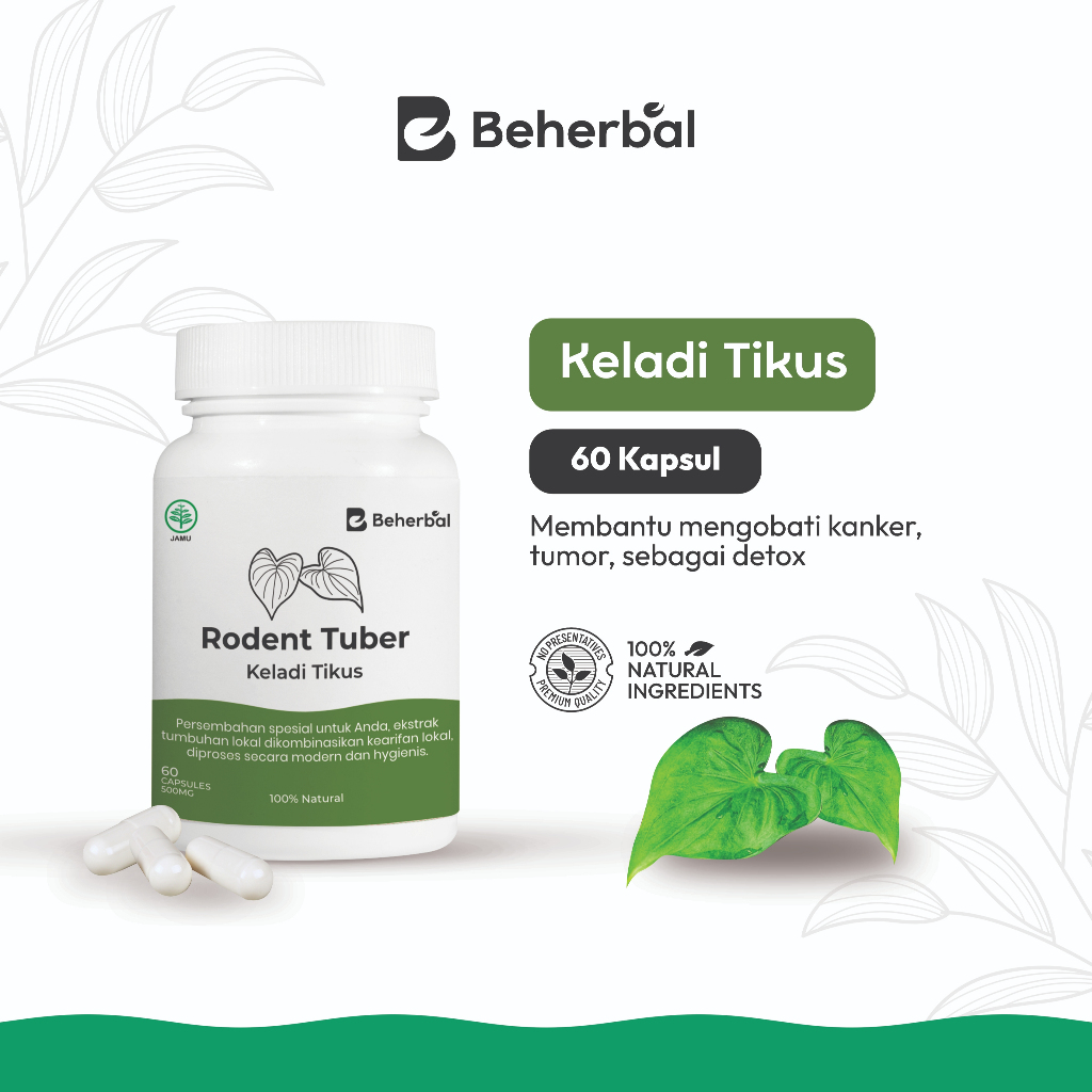 Jual Kapsul Keladi Tikus BEHERBAL Obat Tumor Benjolan Kelenjar Getah ...