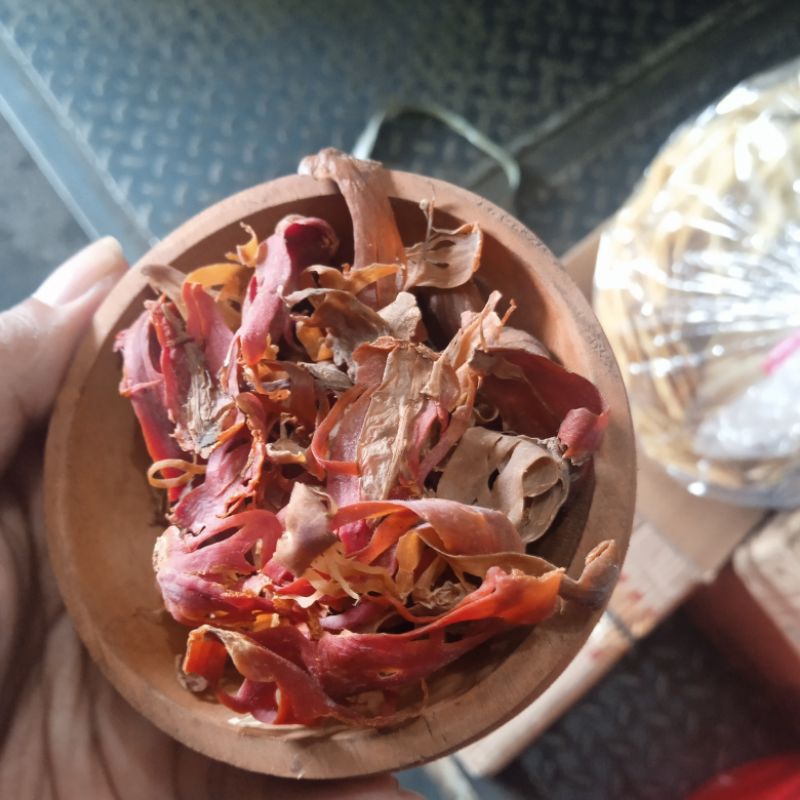 Jual Bunga Pala / Cempra | Shopee Indonesia