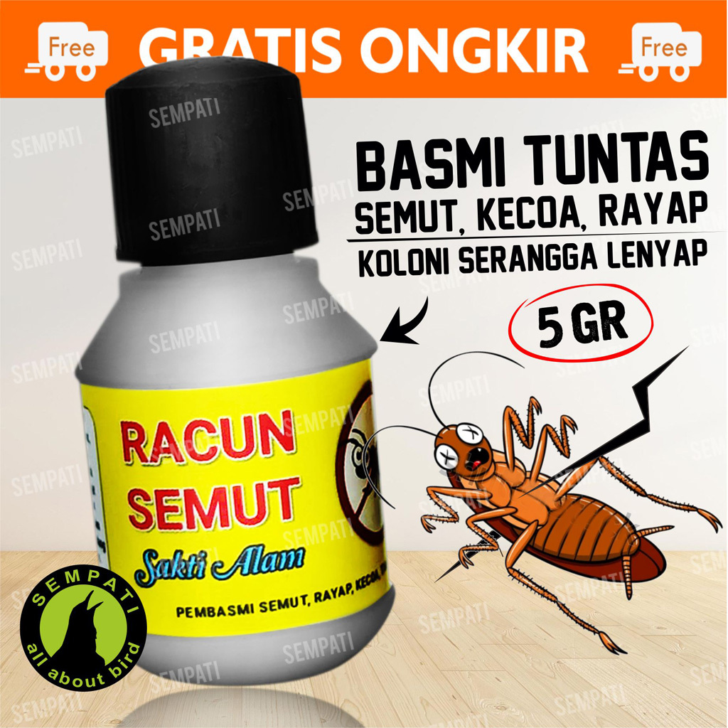 Jual Racun Semut Sakti Alam Cairan Obat Pembasmi Semut Kecoa Rayap ...
