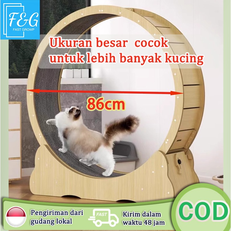 Jual ⚡Pengiriman cepat⚡F&G Roda lari memanjat kucing kayu Treadmill ...